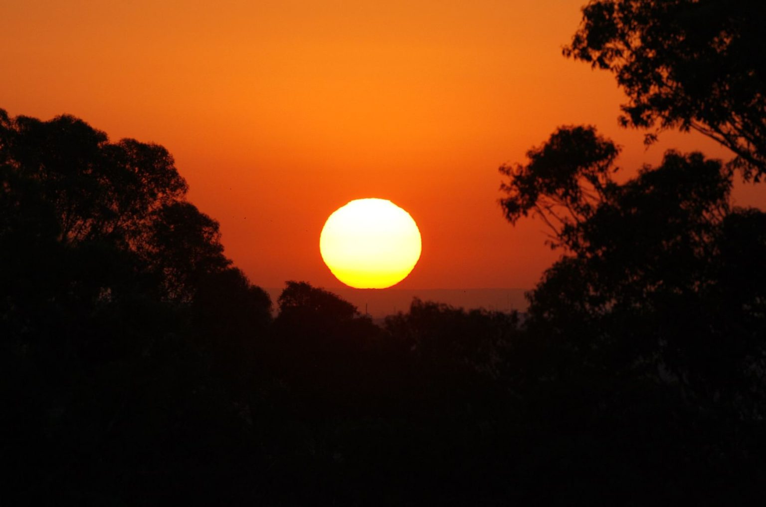 موجة حارة تجتاح جنوب شرق أستراليا